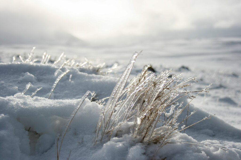 Áfram Ísland! Kurs Nordnordwest! (Part II)